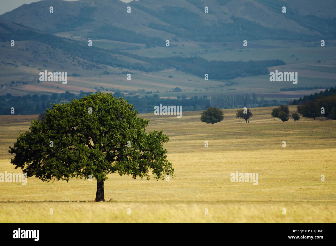 Simbolo di forza immagini e fotografie stock ad alta risoluzione - Alamy