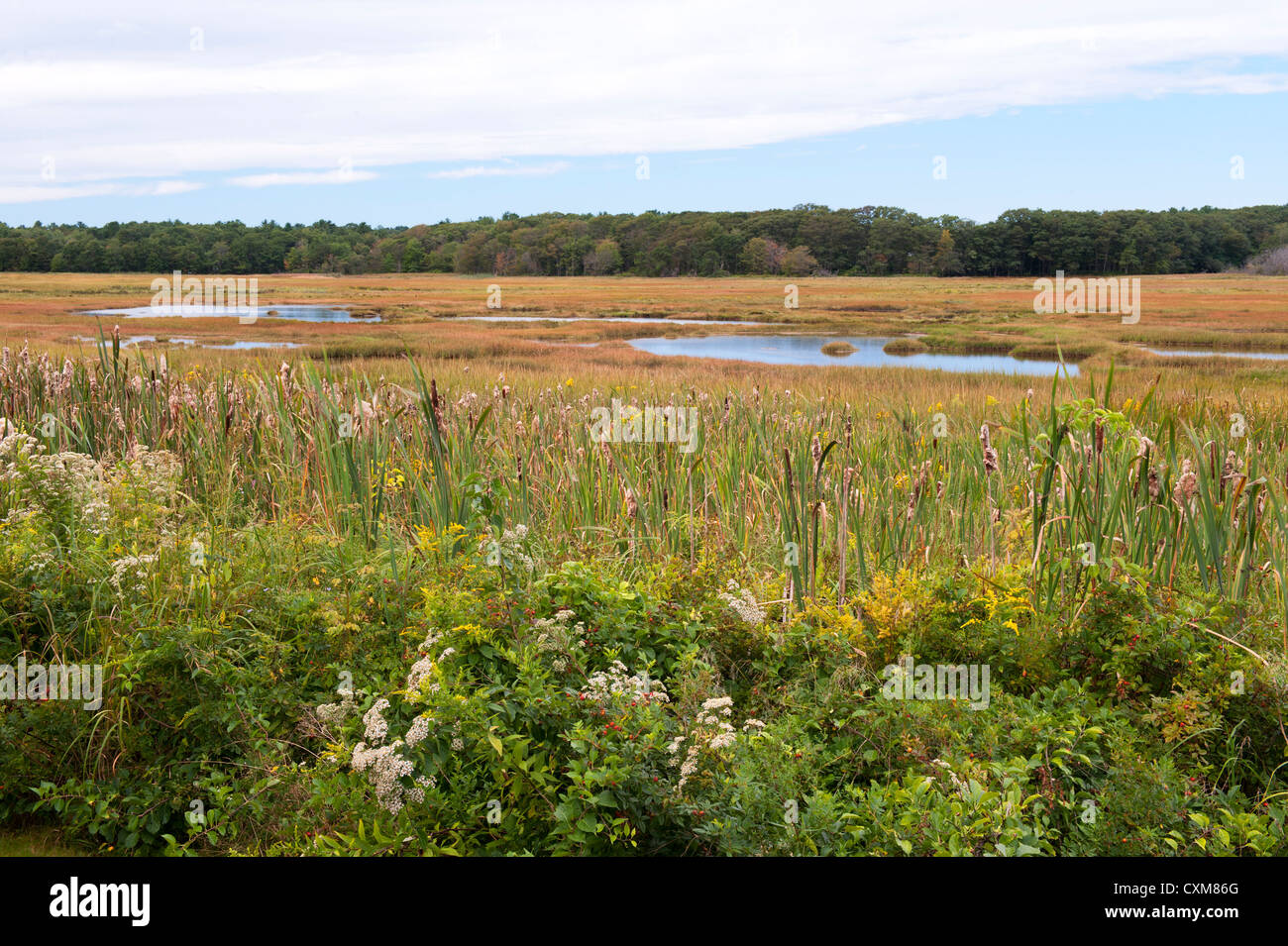 Spiaggia di carson immagini e fotografie stock ad alta risoluzione - Alamy
