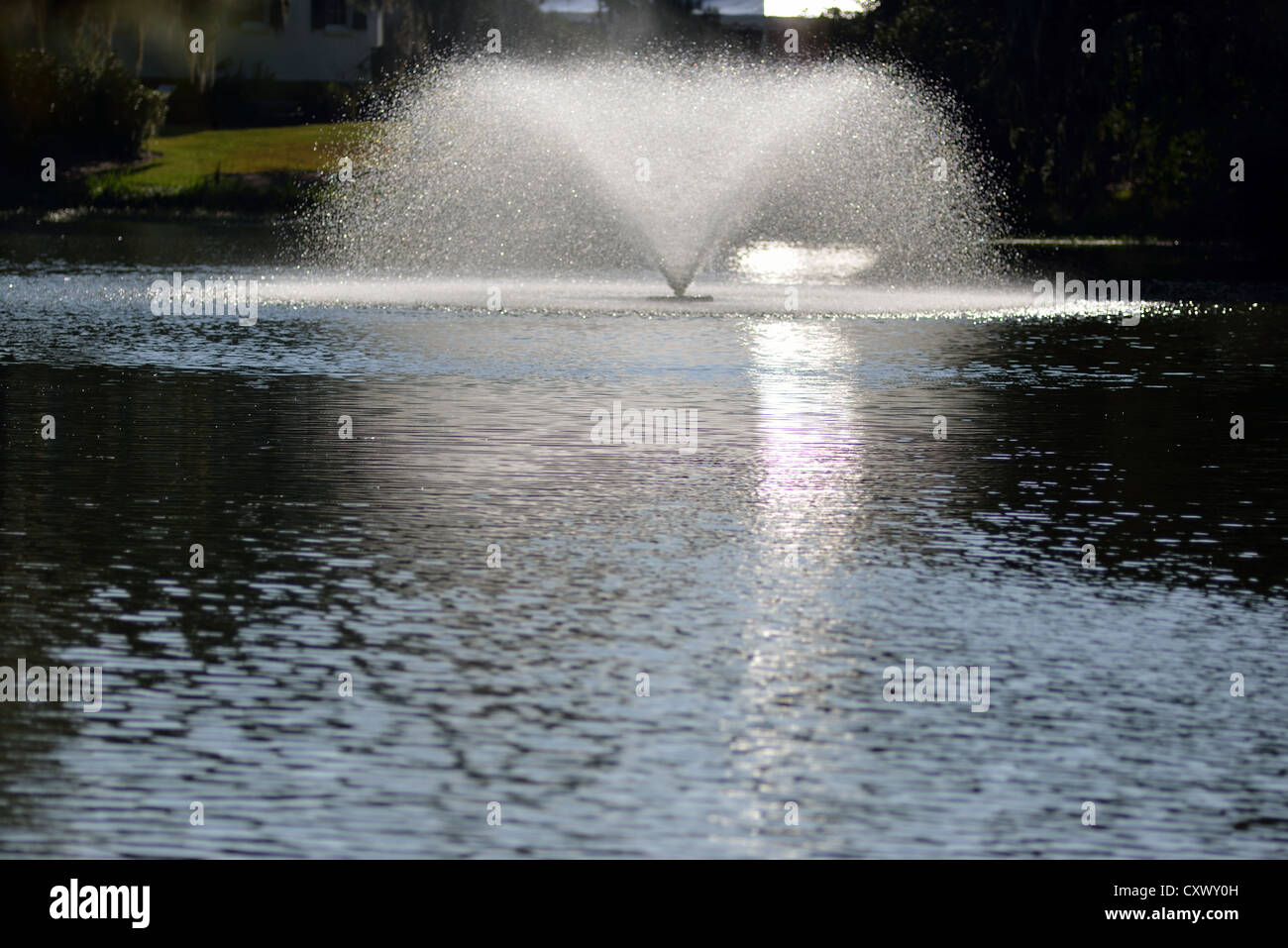 Fontana a spruzzo immagini e fotografie stock ad alta risoluzione - Alamy