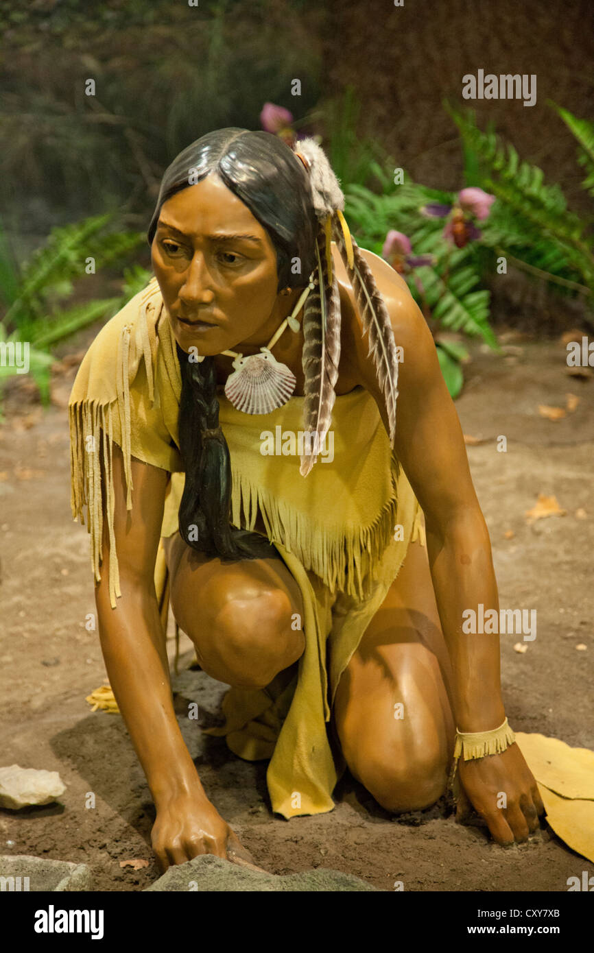 Springfield science museum immagini e fotografie stock ad alta ...