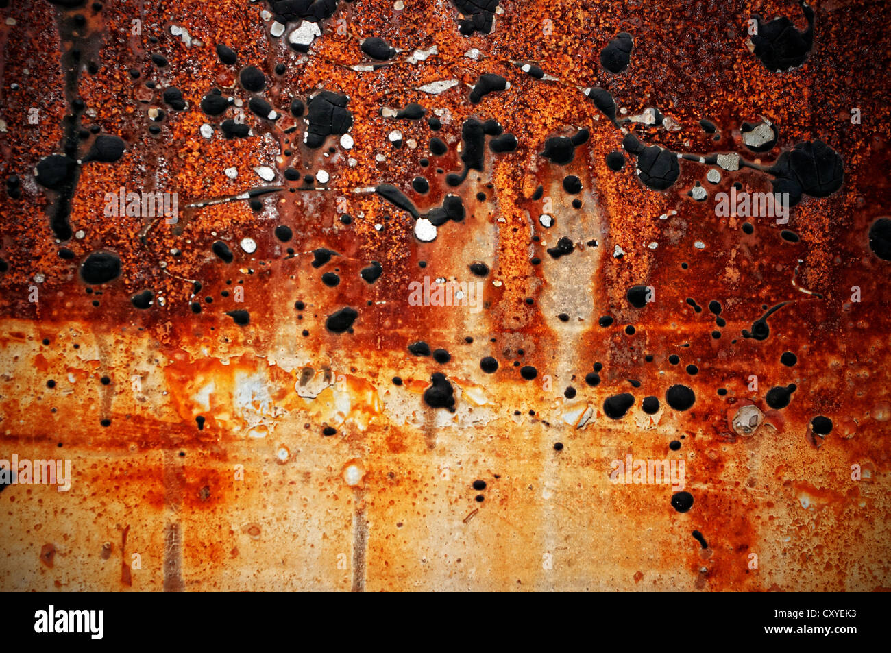 Foglio di forma immagini e fotografie stock ad alta risoluzione - Alamy