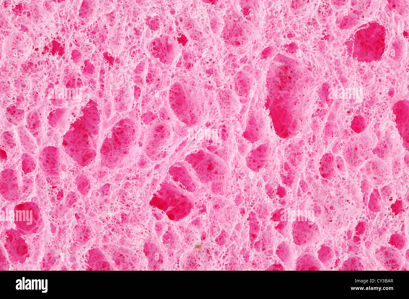 Sponge texture immagini e fotografie stock ad alta risoluzione - Alamy