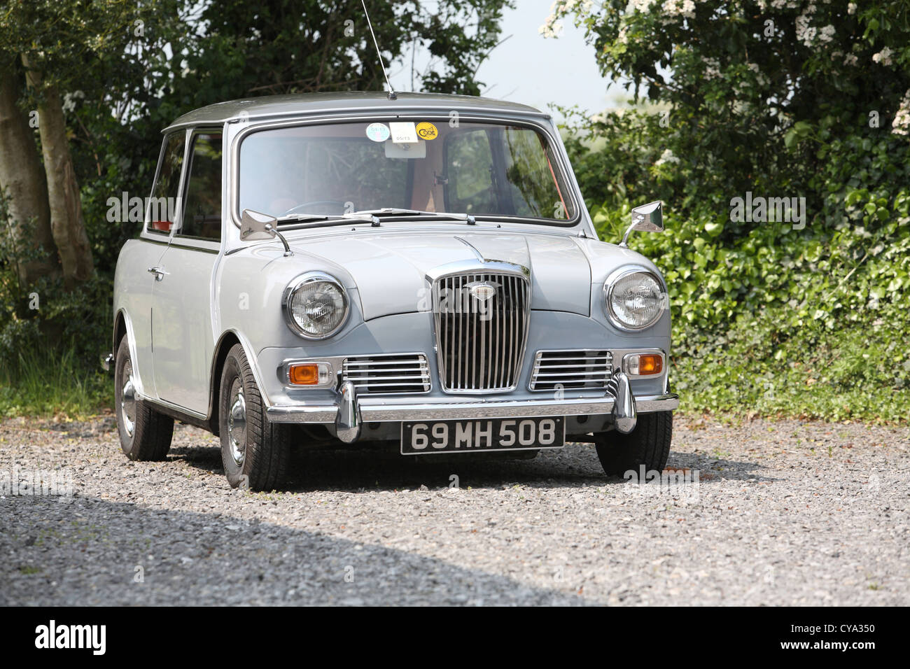 Wolseley riley immagini e fotografie stock ad alta risoluzione - Alamy