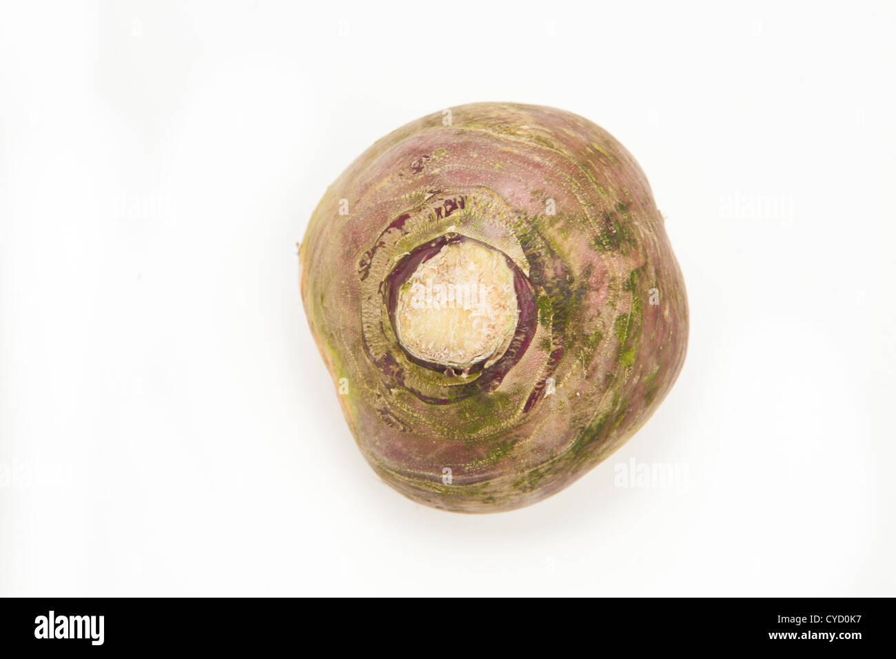 Rapa bianca Immagini senza sfondo e Foto Stock ritagliate - Alamy