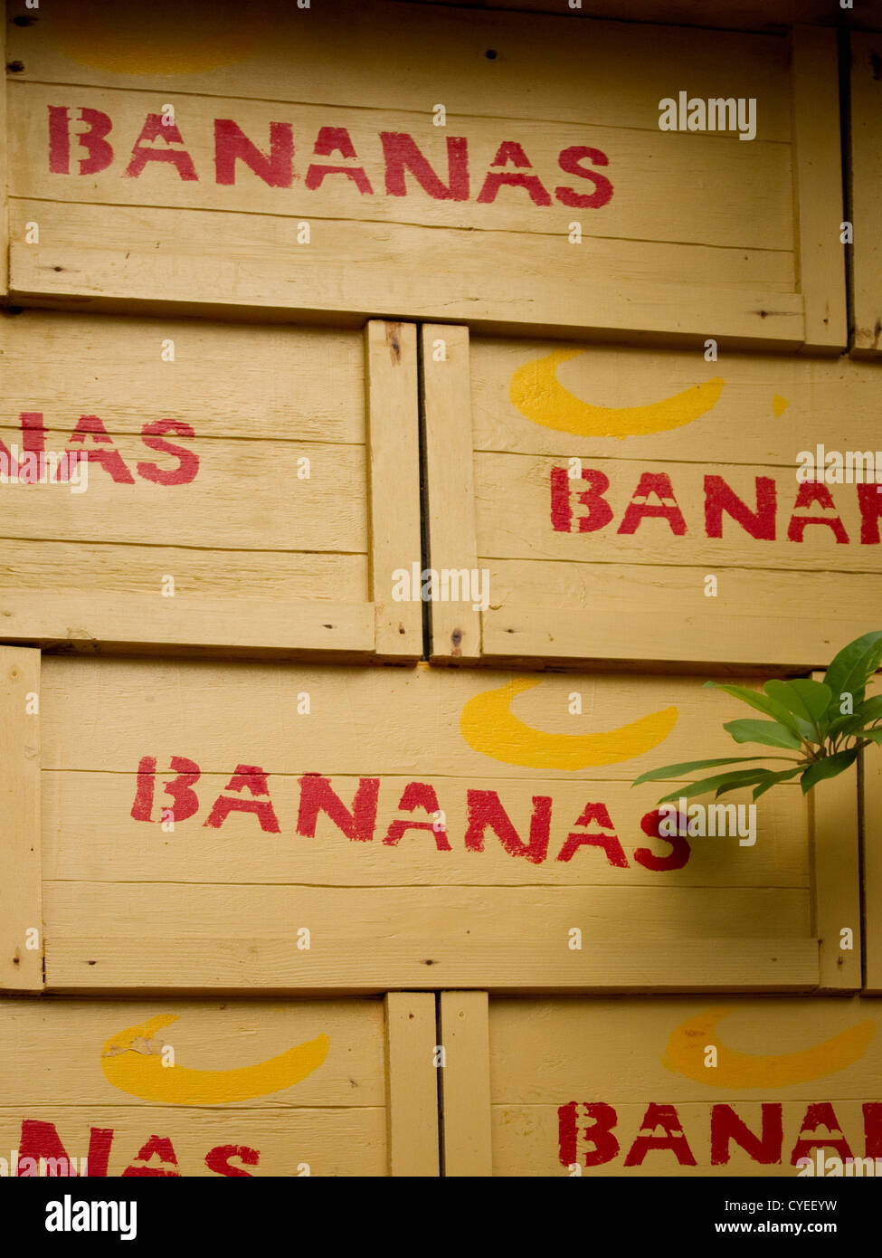 Banana boxes immagini e fotografie stock ad alta risoluzione - Alamy