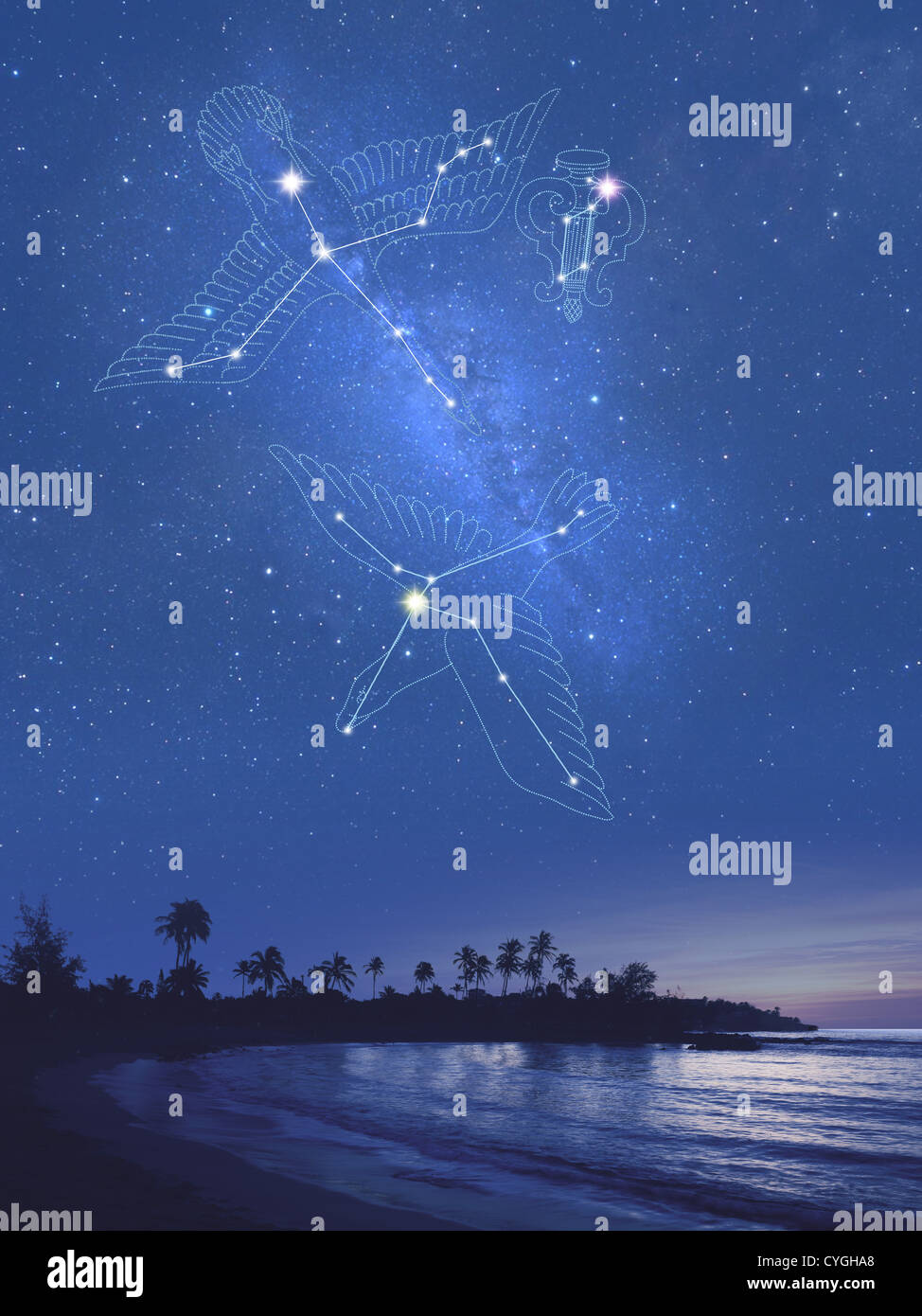 Costellazioni stellari immagini e fotografie stock ad alta risoluzione - Alamy