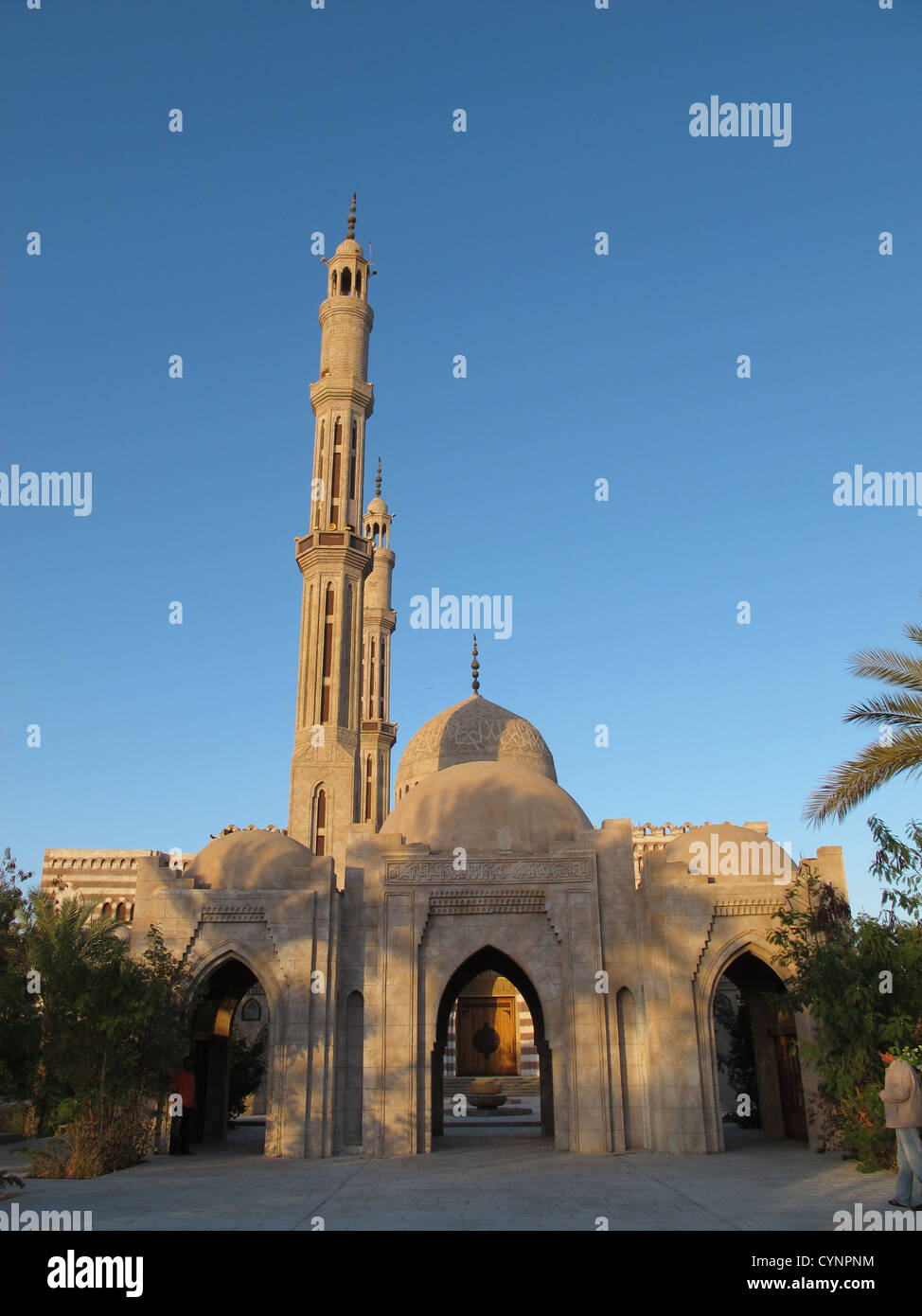 Sharm el sheik egitto immagini e fotografie stock ad alta risoluzione ...