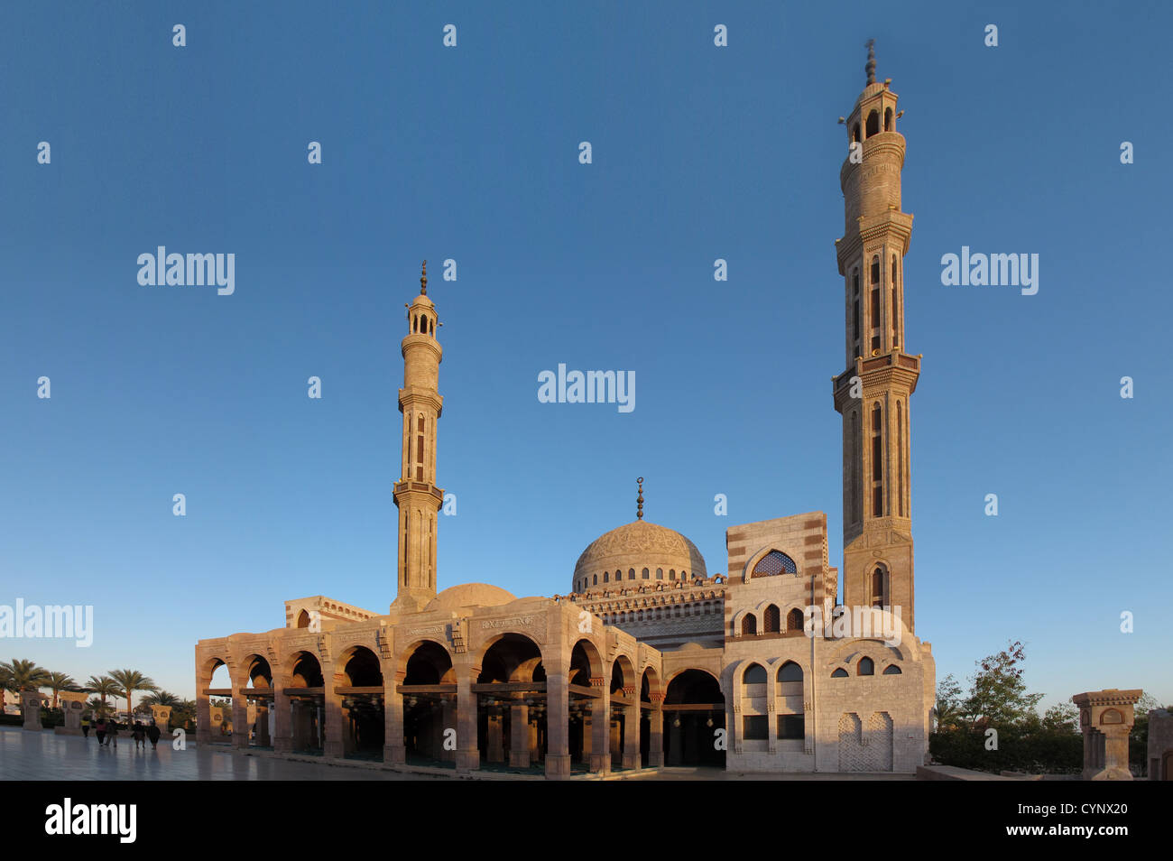 Sharm el sheik egitto immagini e fotografie stock ad alta risoluzione ...