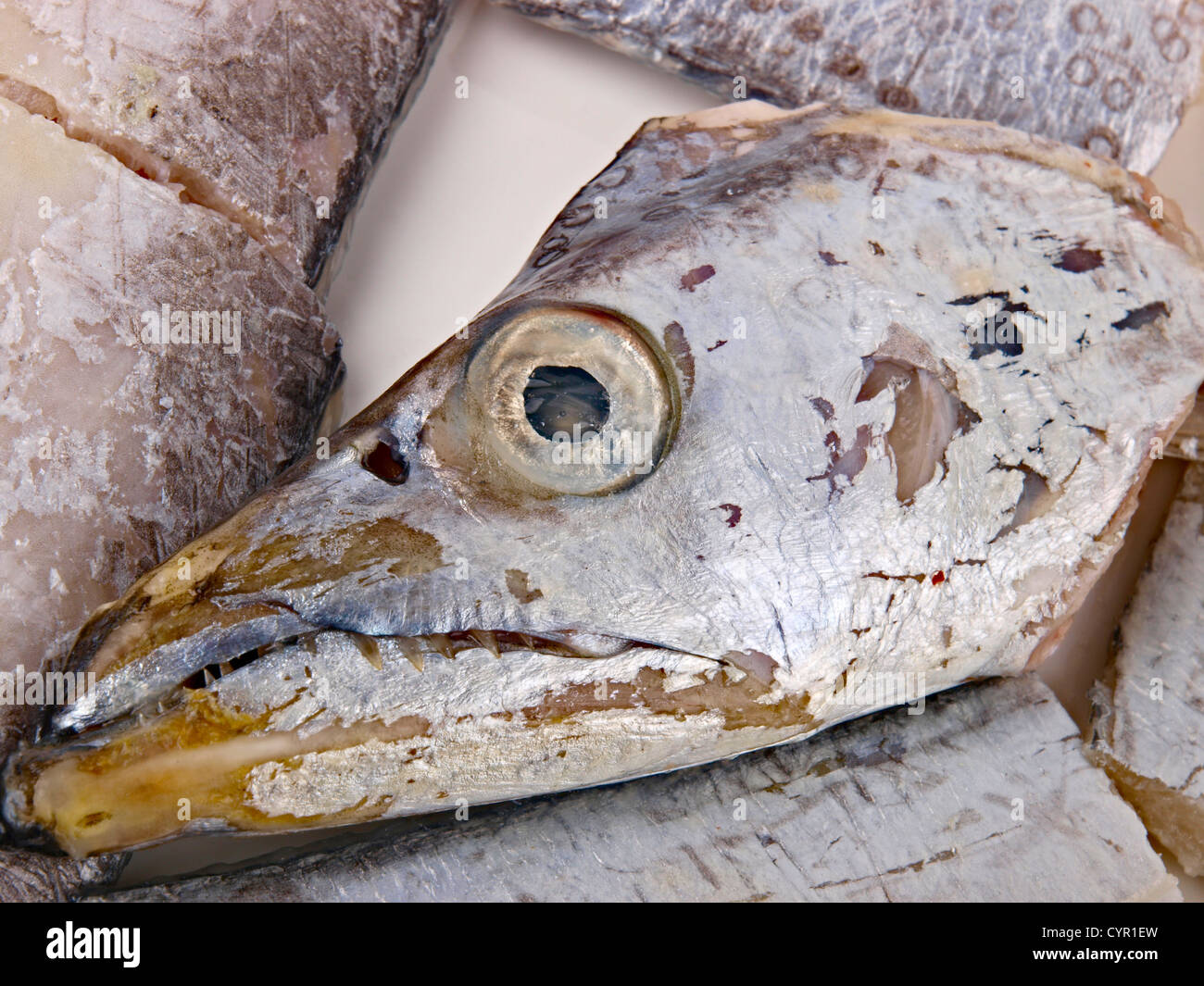 Grongo per cena immagini e fotografie stock ad alta risoluzione - Alamy