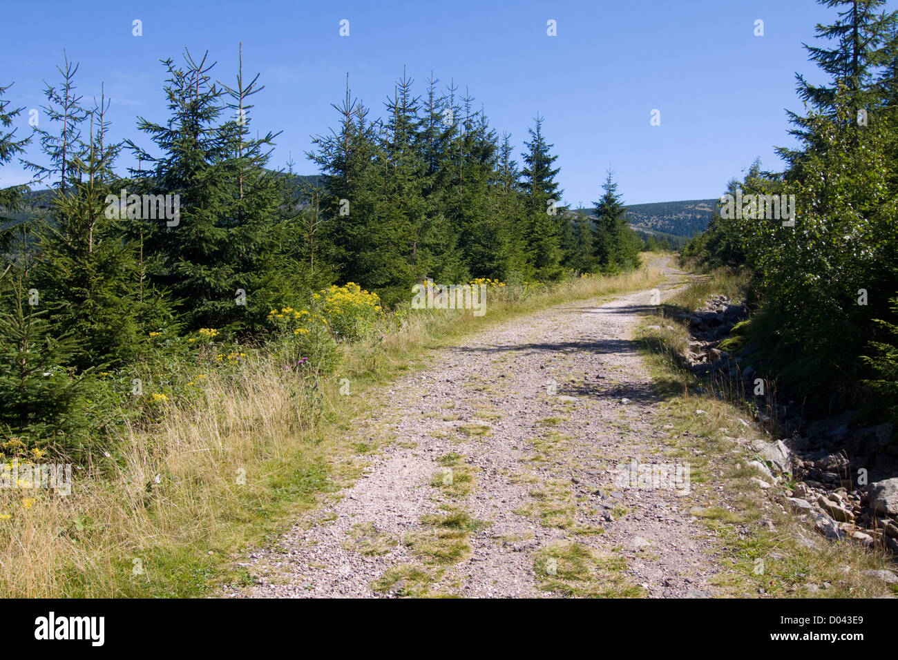 Forested plateau immagini e fotografie stock ad alta risoluzione - Alamy