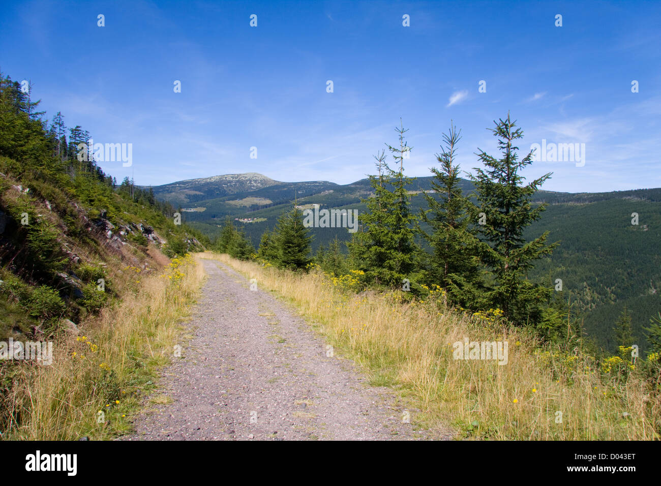 Forested plateau immagini e fotografie stock ad alta risoluzione - Alamy