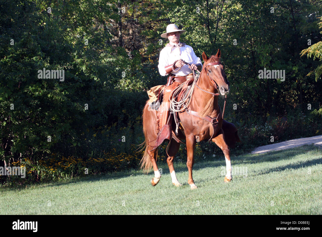 Cowboy e il suo cavallo immagini e fotografie stock ad alta risoluzione ...