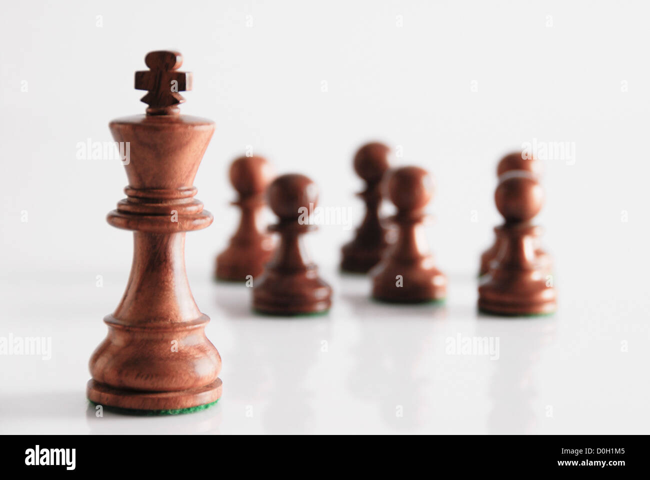 Pedine marroni immagini e fotografie stock ad alta risoluzione - Alamy