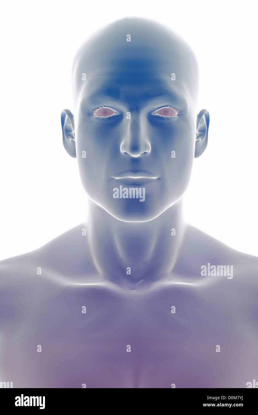 Testa umana stilizzata immagini e fotografie stock ad alta risoluzione ...