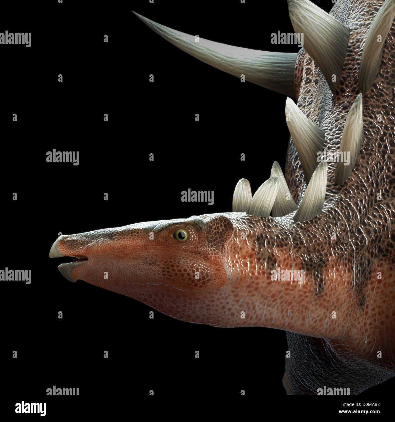 Sharp horns immagini e fotografie stock ad alta risoluzione - Alamy