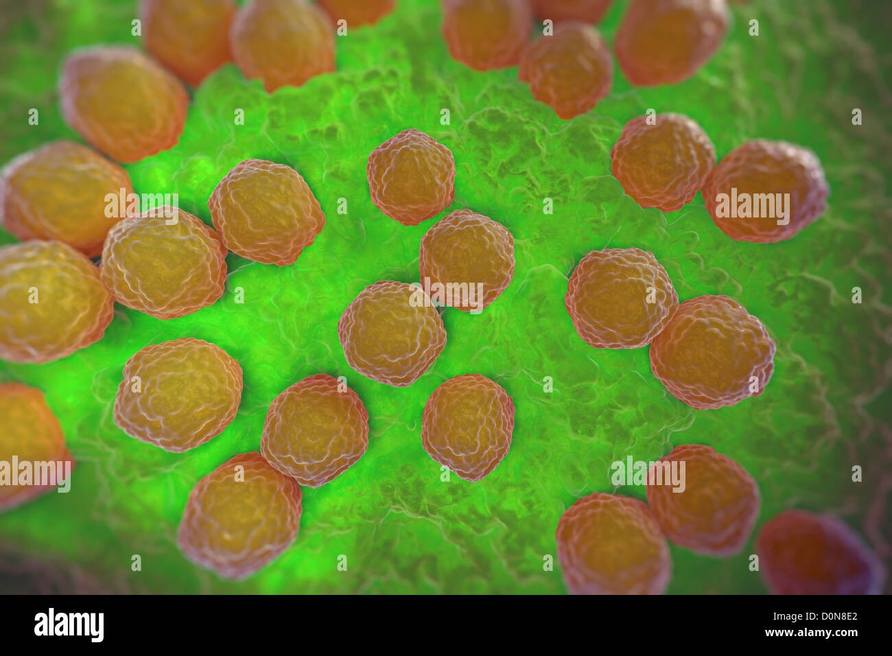 Sindrome della rosolia congenita immagini e fotografie stock ad alta ...