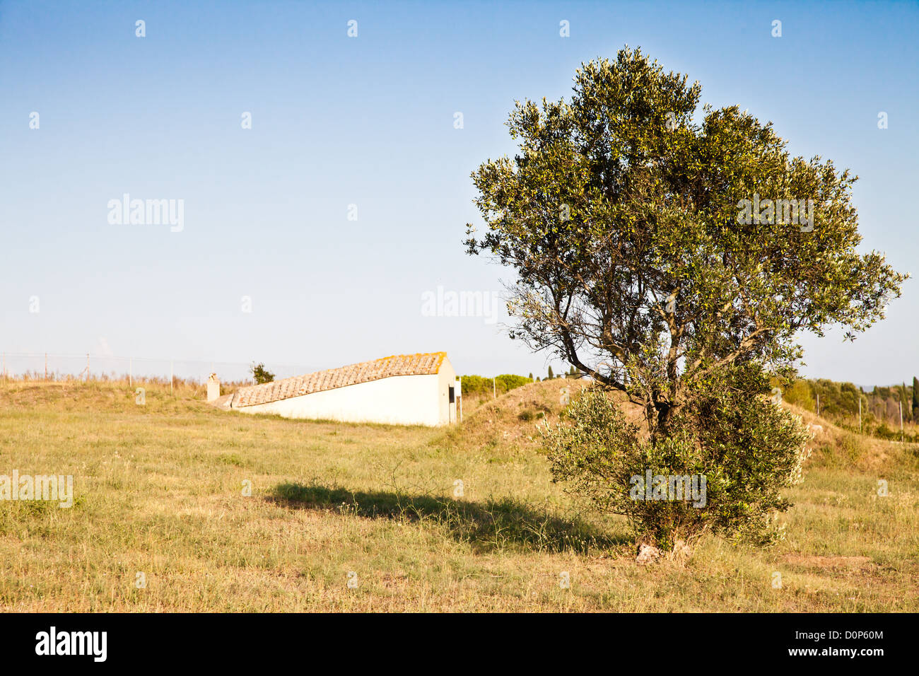 Tomba etrusca a populonia immagini e fotografie stock ad alta ...
