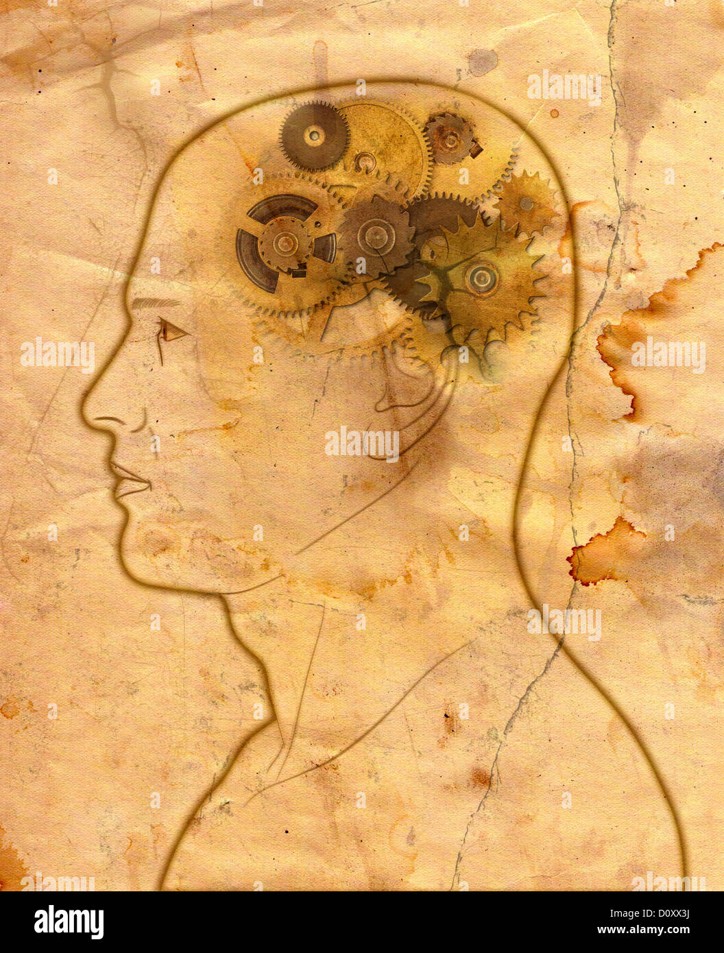Testa umana con ingranaggi immagini e fotografie stock ad alta ...