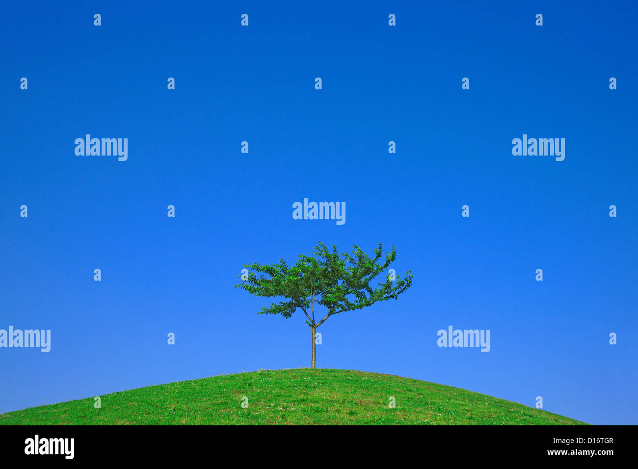 Collina chiara immagini e fotografie stock ad alta risoluzione - Alamy