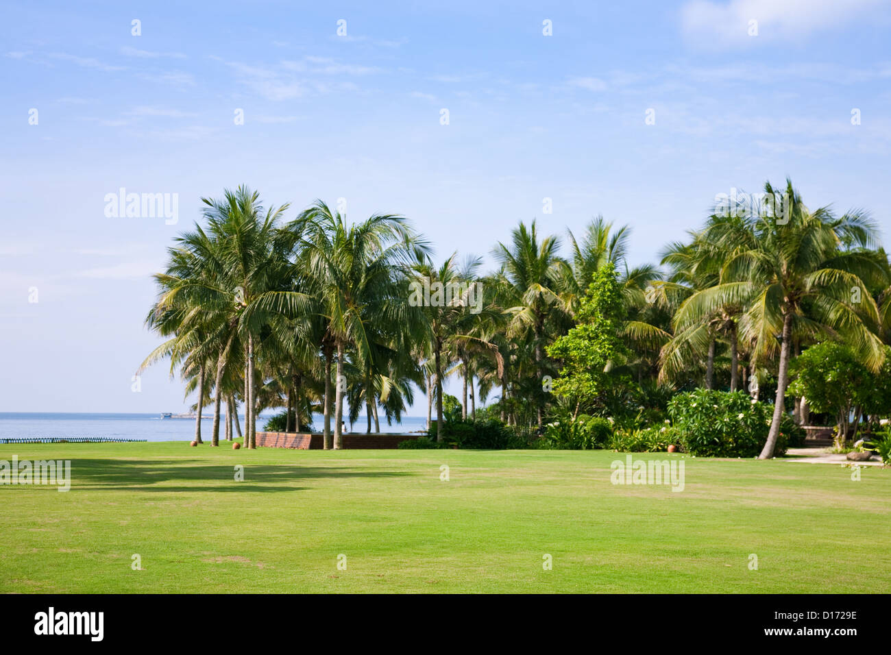 Palme al mare immagini e fotografie stock ad alta risoluzione - Alamy