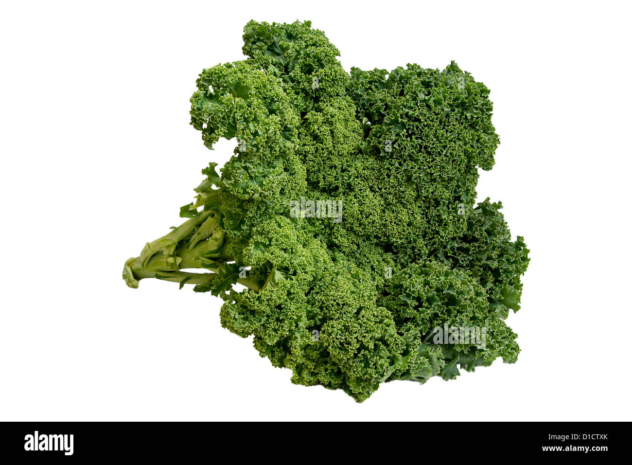 Cavolo riccio Immagini senza sfondo e Foto Stock ritagliate - Alamy
