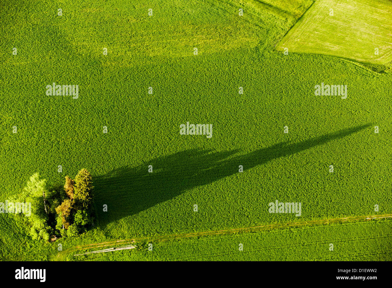 Foto di prato immagini e fotografie stock ad alta risoluzione - Alamy