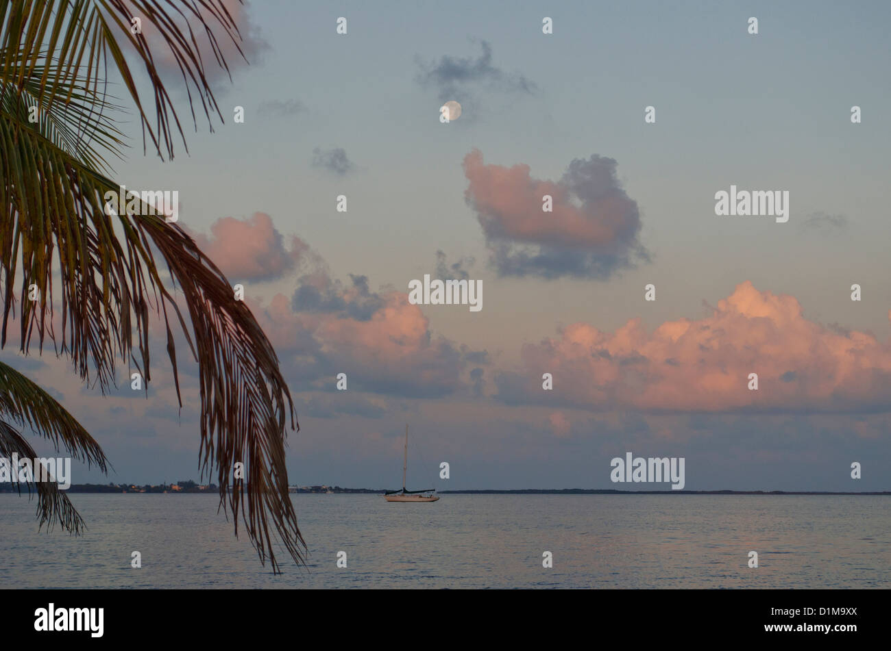 Florida Keys con spiagge tropicali tramonti e la Seven Mile bridge Foto ...