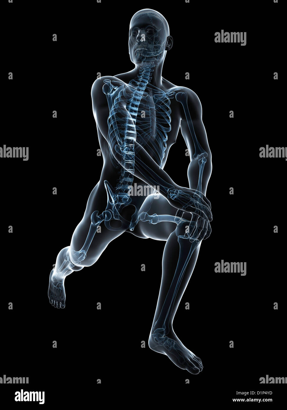 Anatomia Maschile Immagini e Fotos Stock - Alamy