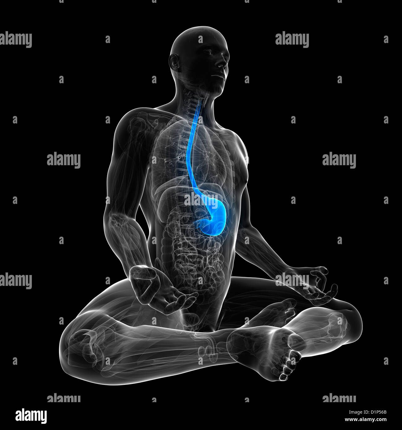 Stomaco pieno immagini e fotografie stock ad alta risoluzione - Alamy