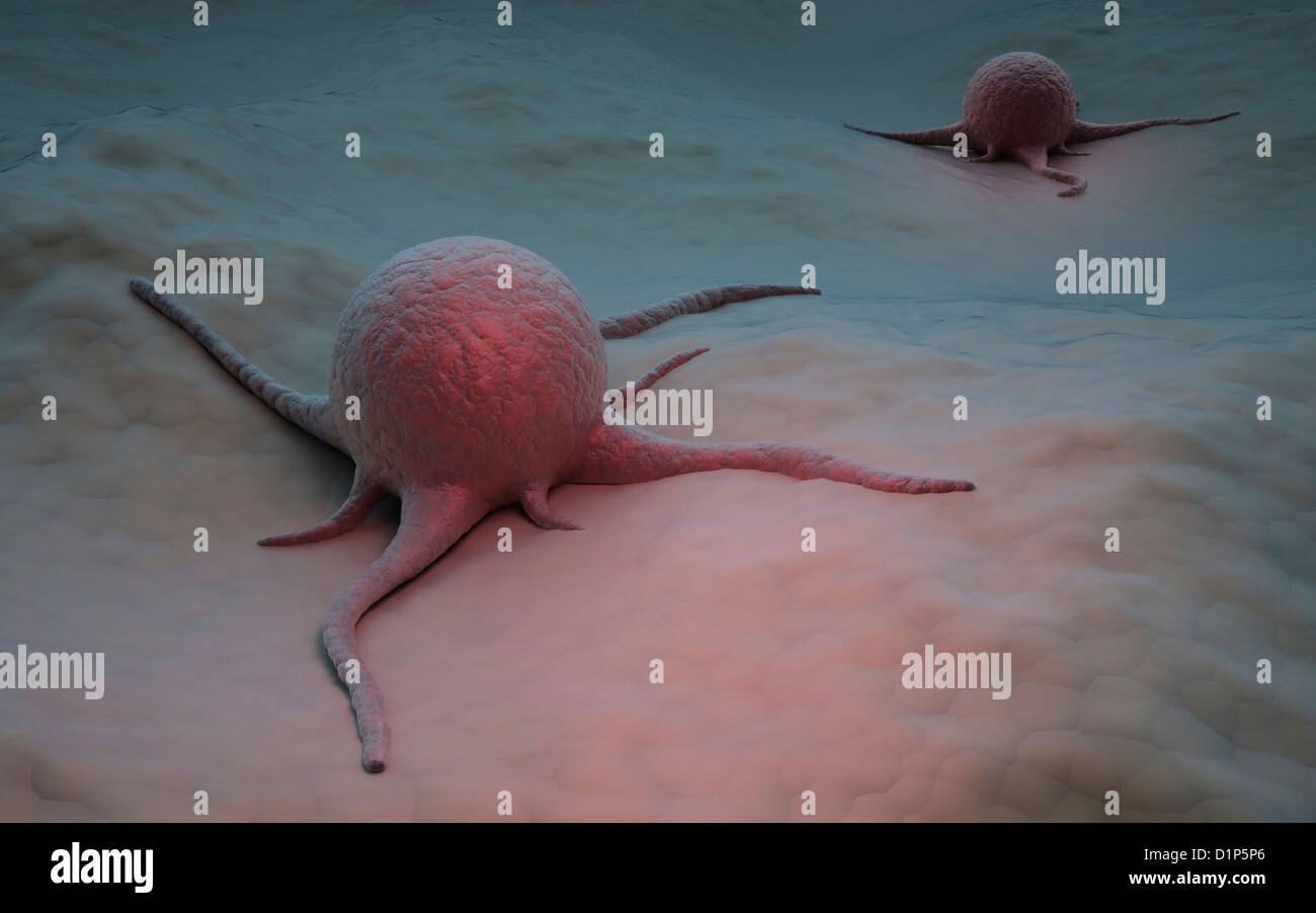 Cellule cancerose immagini e fotografie stock ad alta risoluzione - Alamy