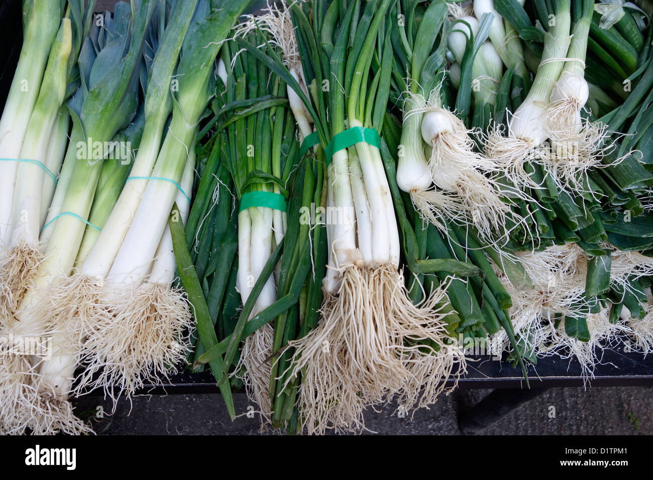 Verde madrid immagini e fotografie stock ad alta risoluzione - Alamy