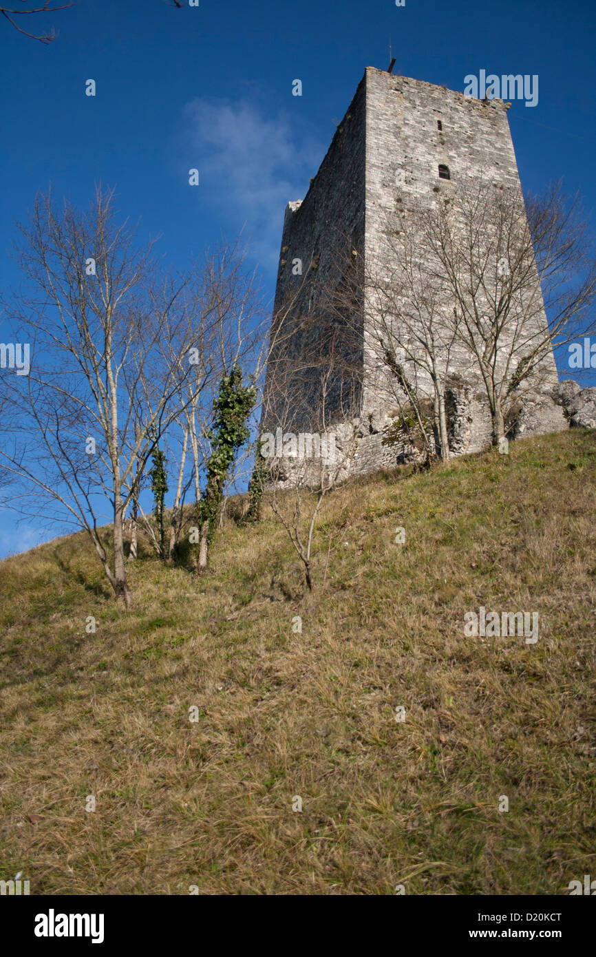 Torre medievale del donjon immagini e fotografie stock ad alta ...