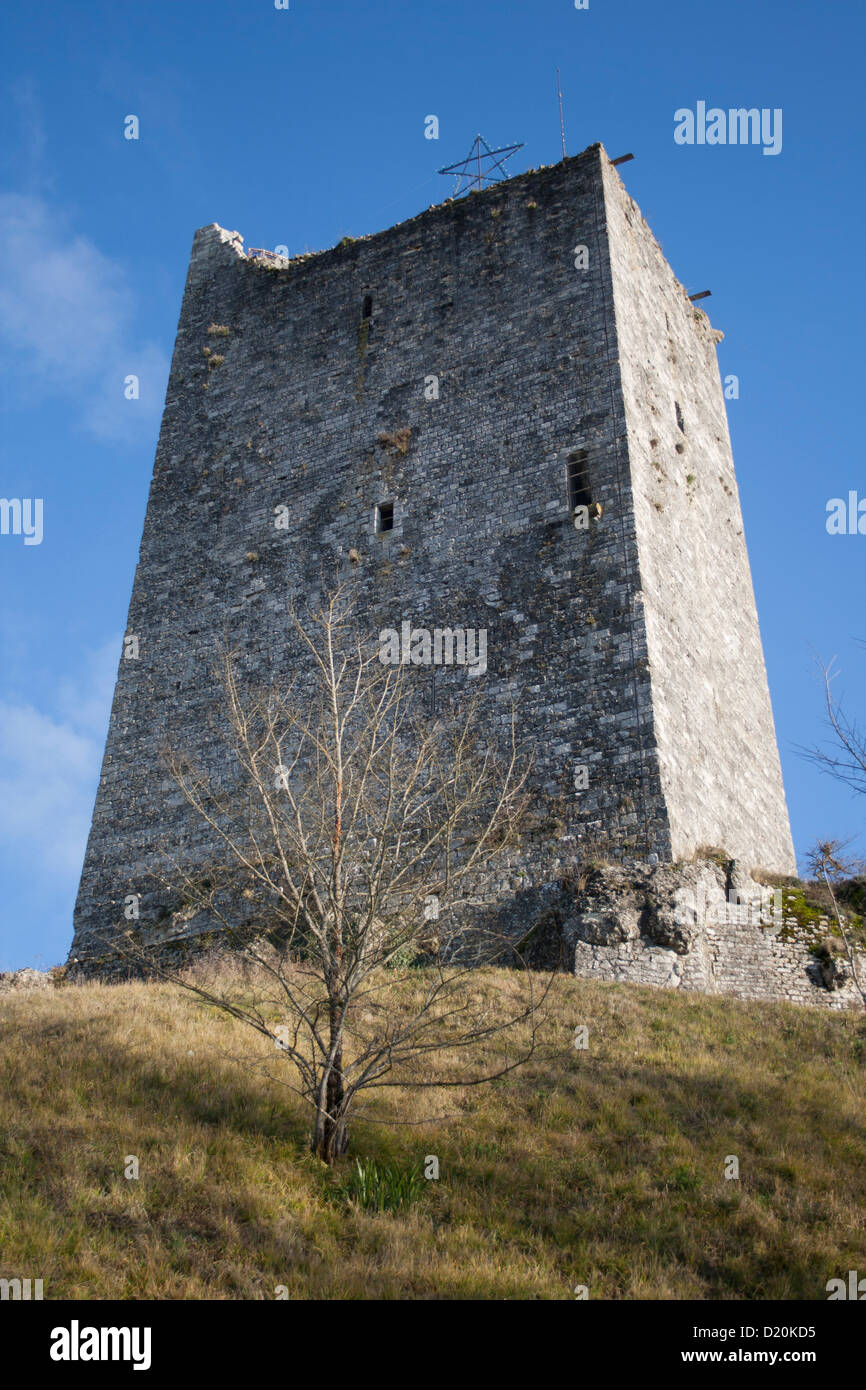 Torre medievale del donjon immagini e fotografie stock ad alta ...