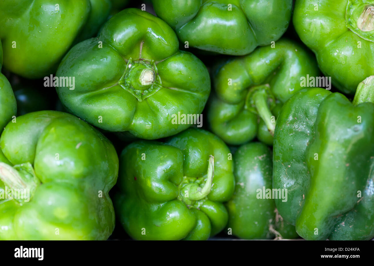 Peperoni verdi immagini e fotografie stock ad alta risoluzione - Alamy