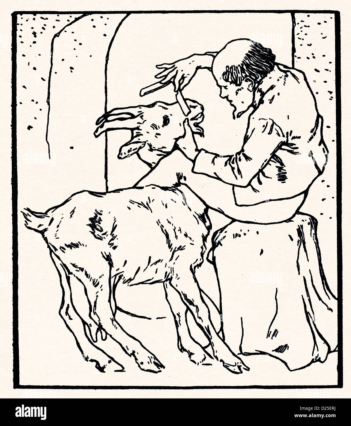 Capra diavolo nero immagini e fotografie stock ad alta risoluzione - Alamy