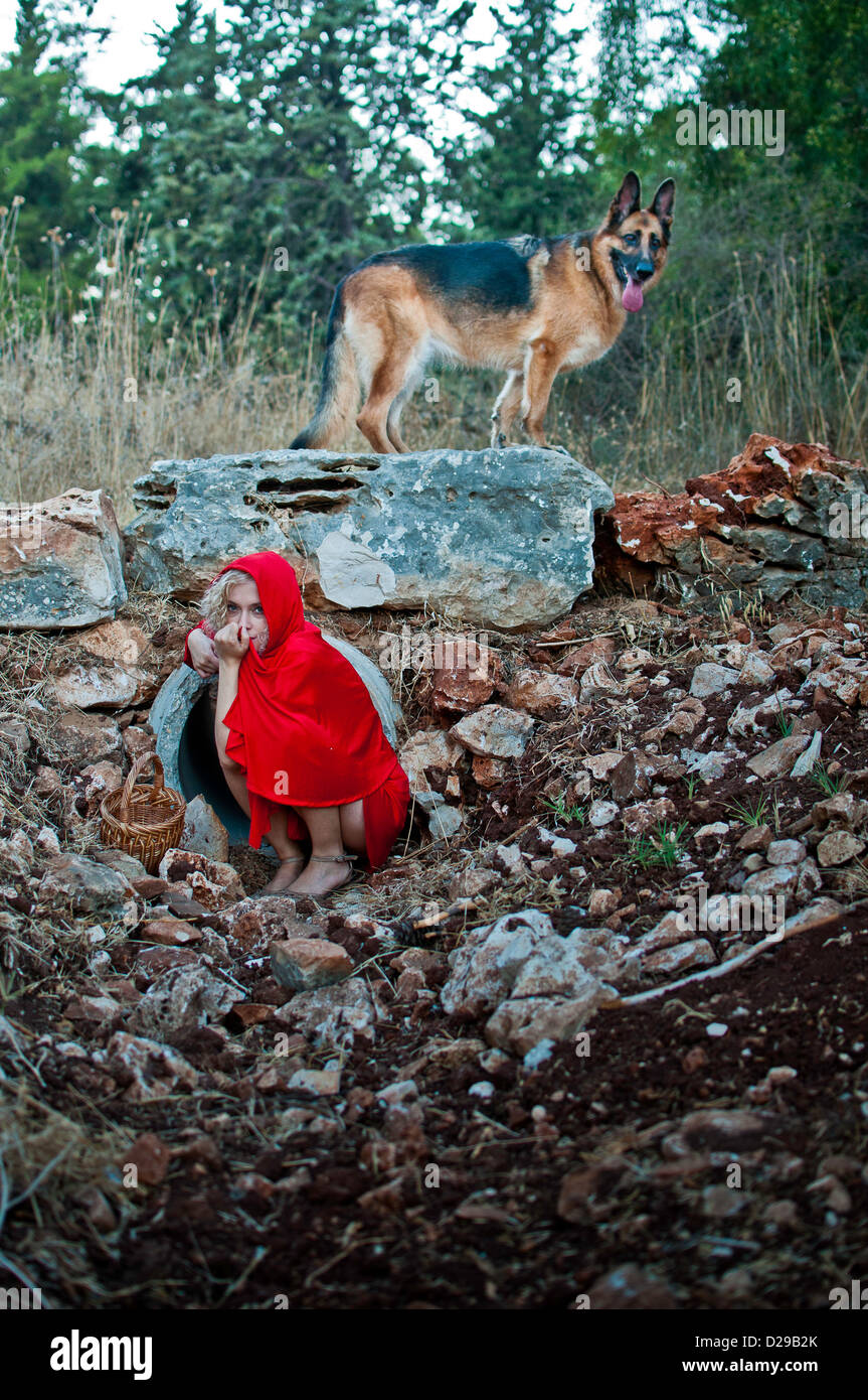 Cappuccetto rosso nel bosco immagini e fotografie stock ad alta ...