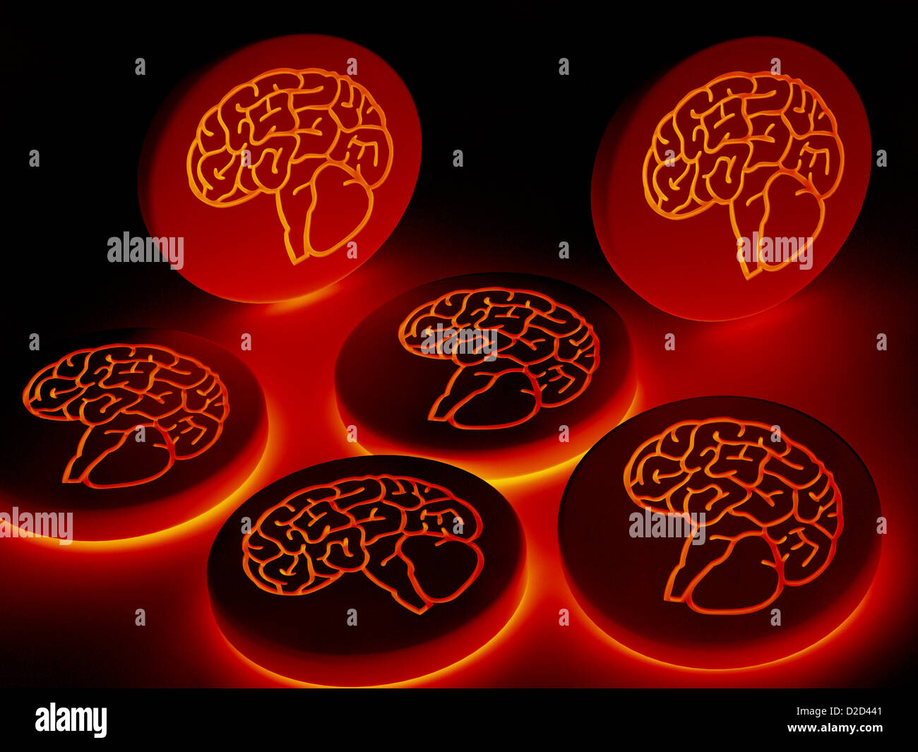 Lobi frontali immagini e fotografie stock ad alta risoluzione - Alamy