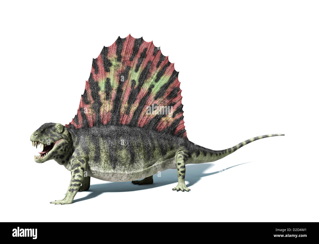 Dinosaur dimetrodon immagini e fotografie stock ad alta risoluzione - Alamy