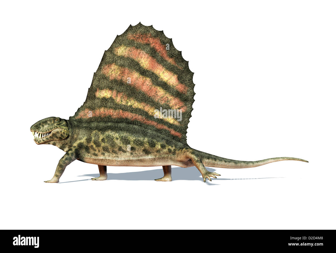 Dinosaur dimetrodon immagini e fotografie stock ad alta risoluzione - Alamy