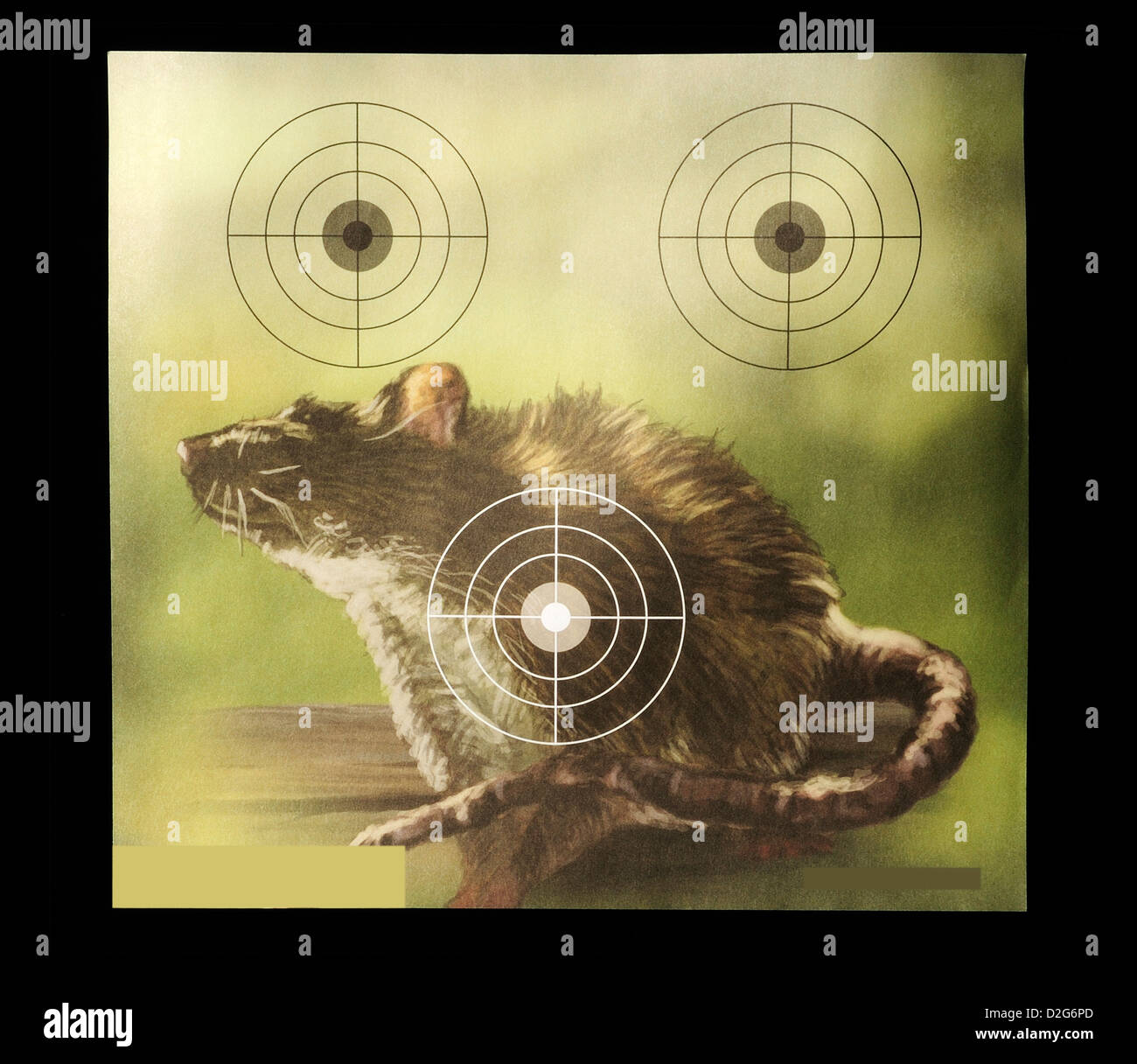 Gli occhi di toro immagini e fotografie stock ad alta risoluzione - Alamy