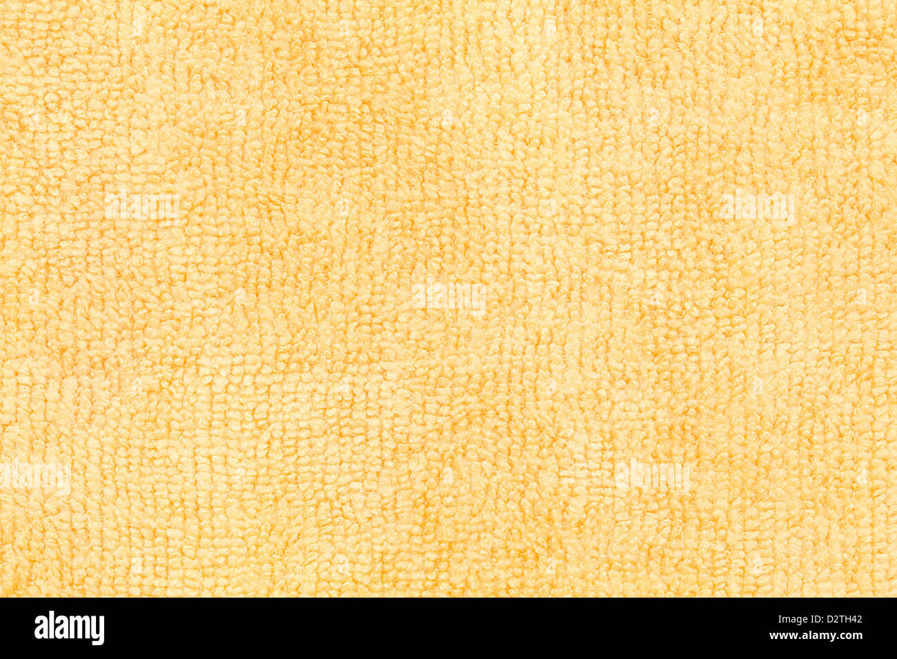 Seta di spugna immagini e fotografie stock ad alta risoluzione - Alamy