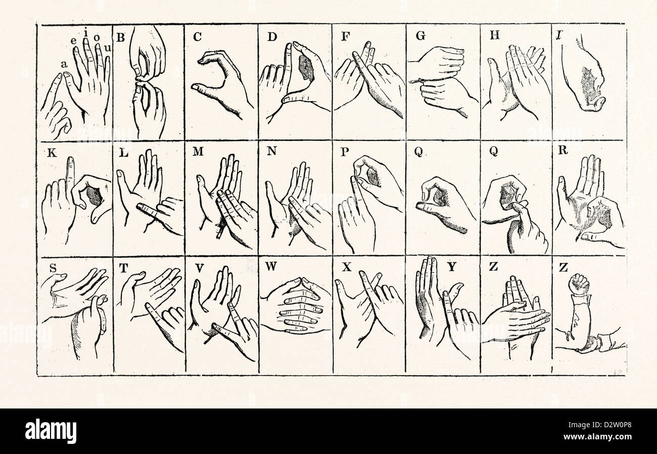 Alfabeto dou immagini e fotografie stock ad alta risoluzione - Alamy