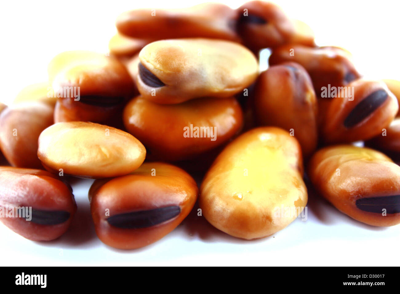 Fava fagioli sfondo bianco immagini e fotografie stock ad alta ...