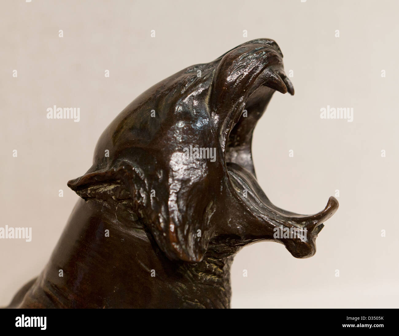 Tiger yawning immagini e fotografie stock ad alta risoluzione - Alamy