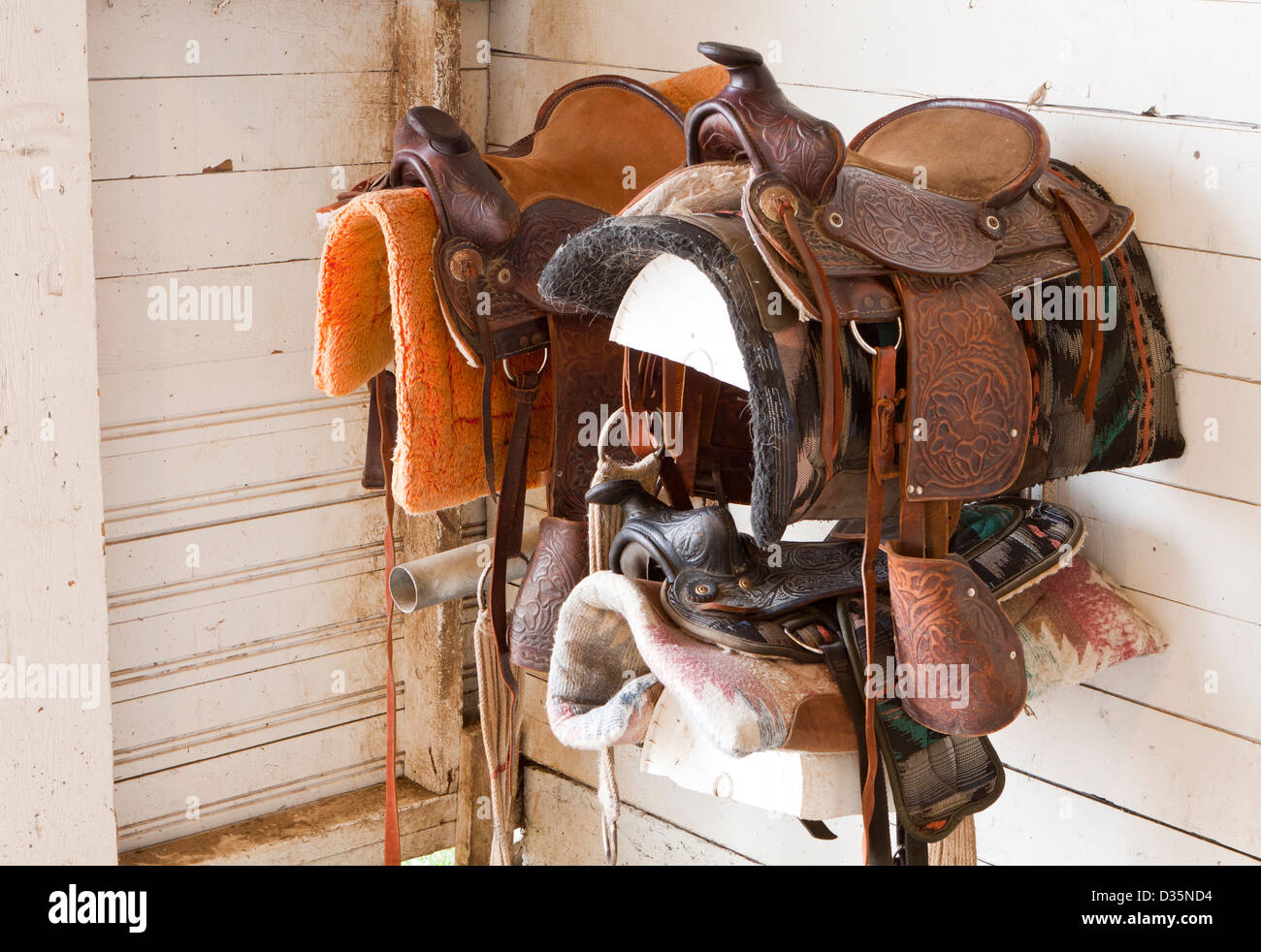 Sella da cavallo immagini e fotografie stock ad alta risoluzione - Alamy