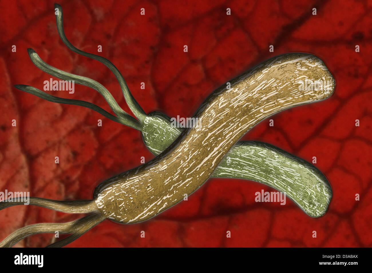 Microbi disegno immagini e fotografie stock ad alta risoluzione - Alamy