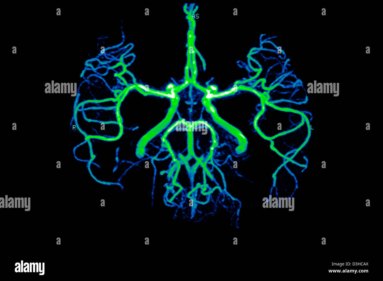 Circolo di willis immagini e fotografie stock ad alta risoluzione - Alamy