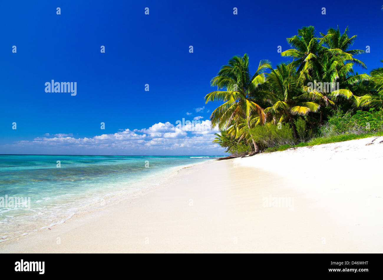 Palmen im relax bay resort immagini e fotografie stock ad alta ...