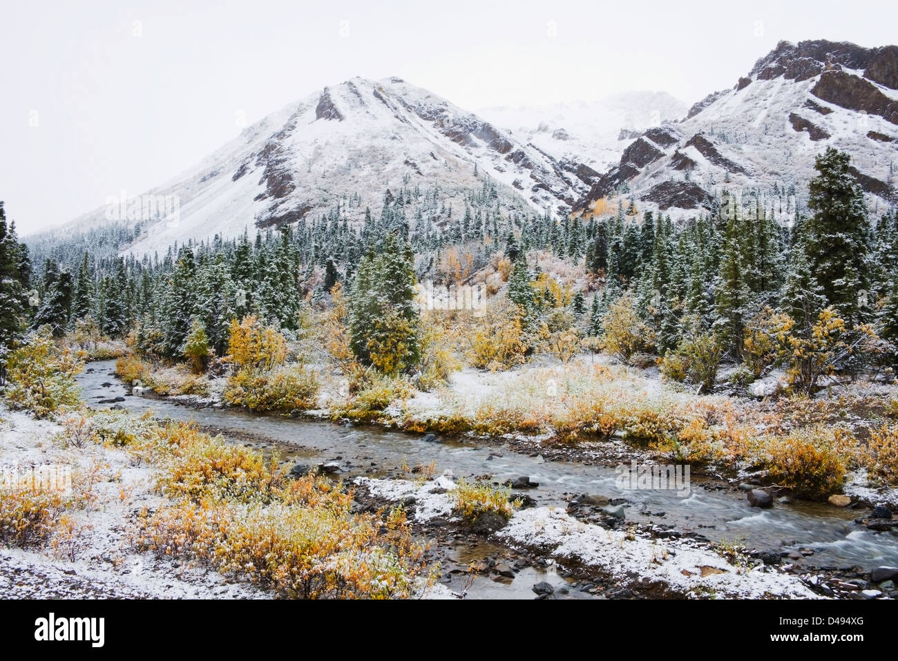 Igloo alaska immagini e fotografie stock ad alta risoluzione - Alamy
