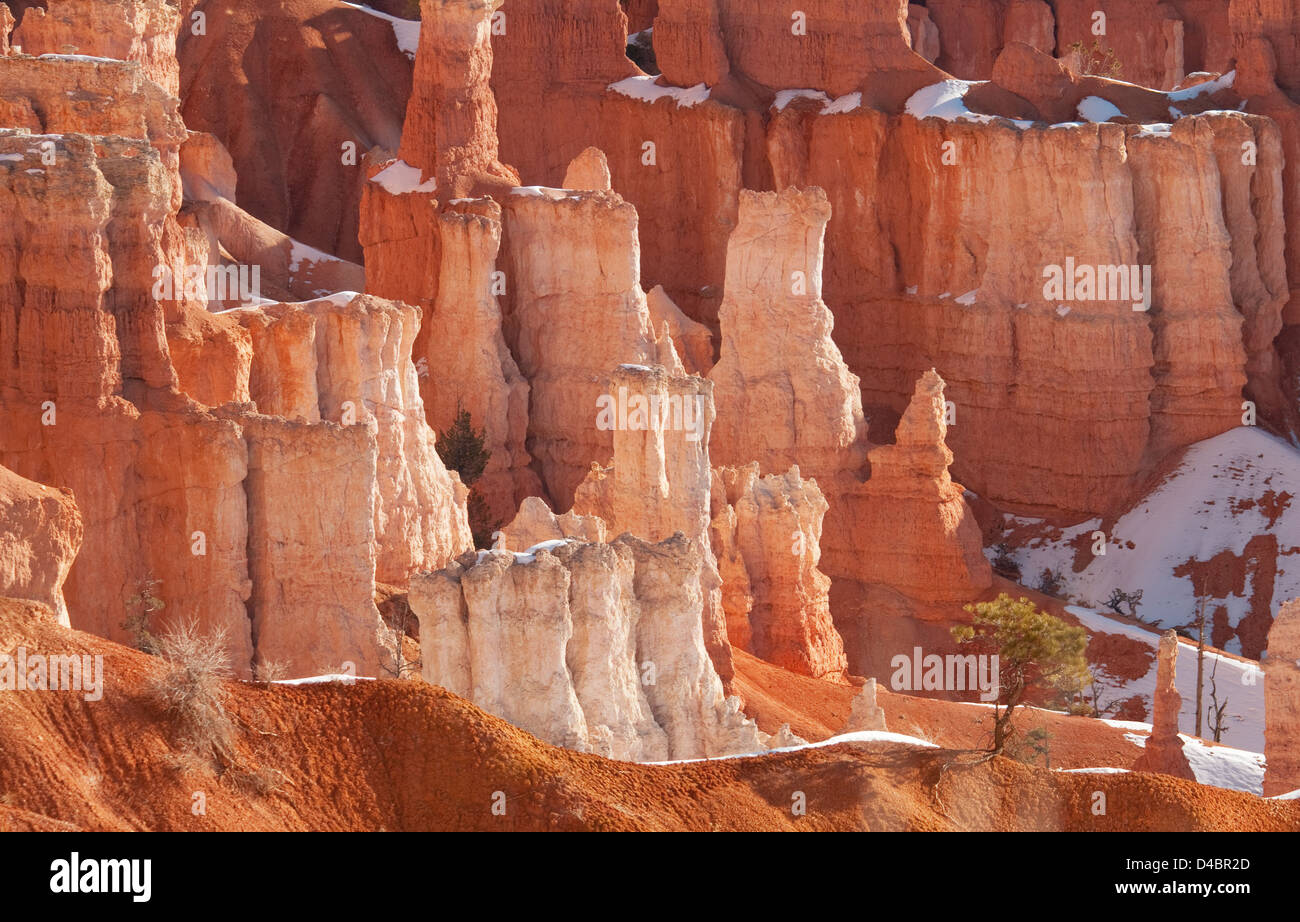 Claron formation immagini e fotografie stock ad alta risoluzione - Alamy